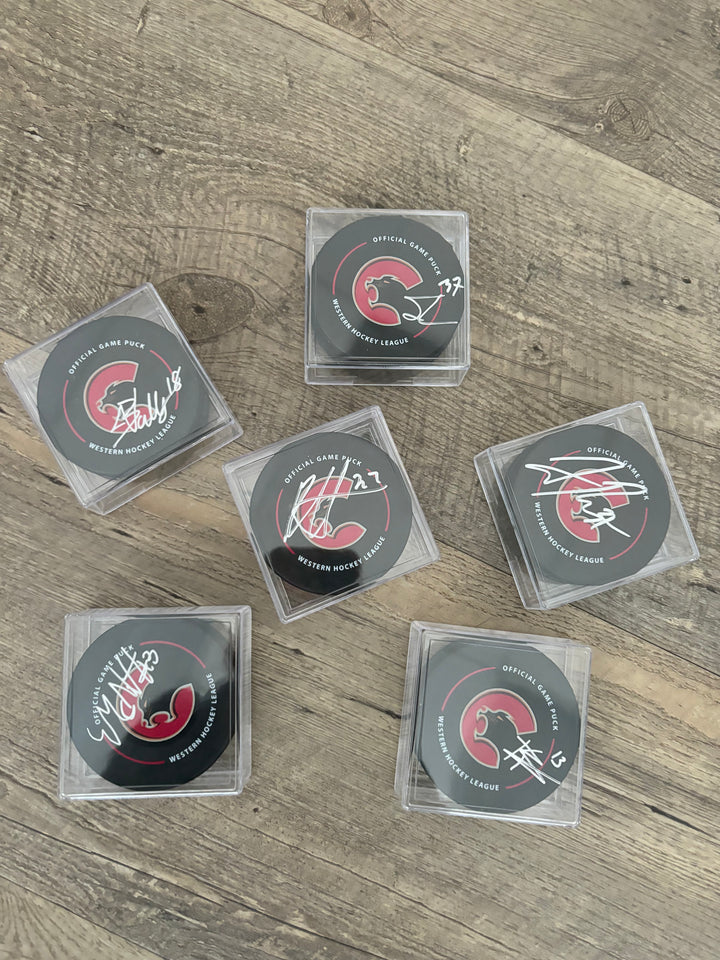 Accessories – PG Cougars Store
