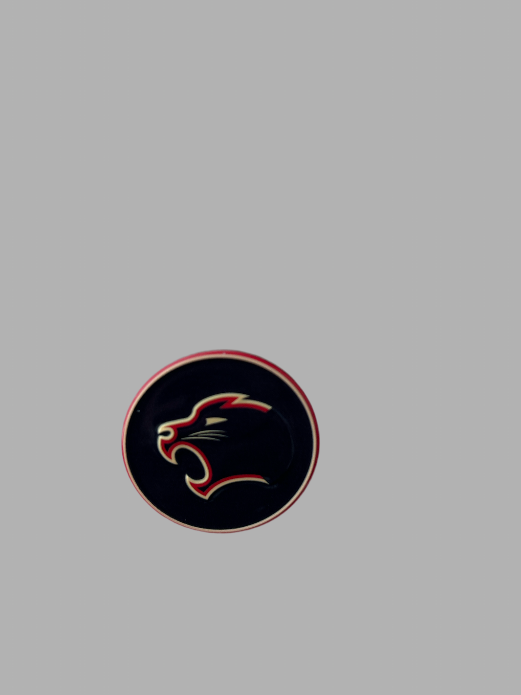 Accessories – PG Cougars Store